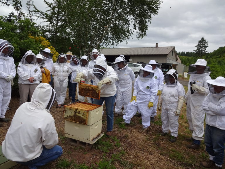 Honey Bee Health Coalition releases new guide, tool to help beekeepers ...